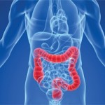 Colon Hydrotherapy at Vitality Colonics Hertfordshire Broxbourne